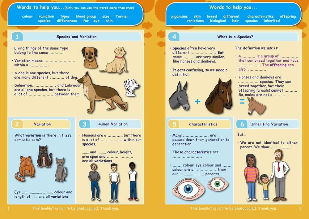 CE KS3 Biology: Variation & Classification | Resources For Dyslexics