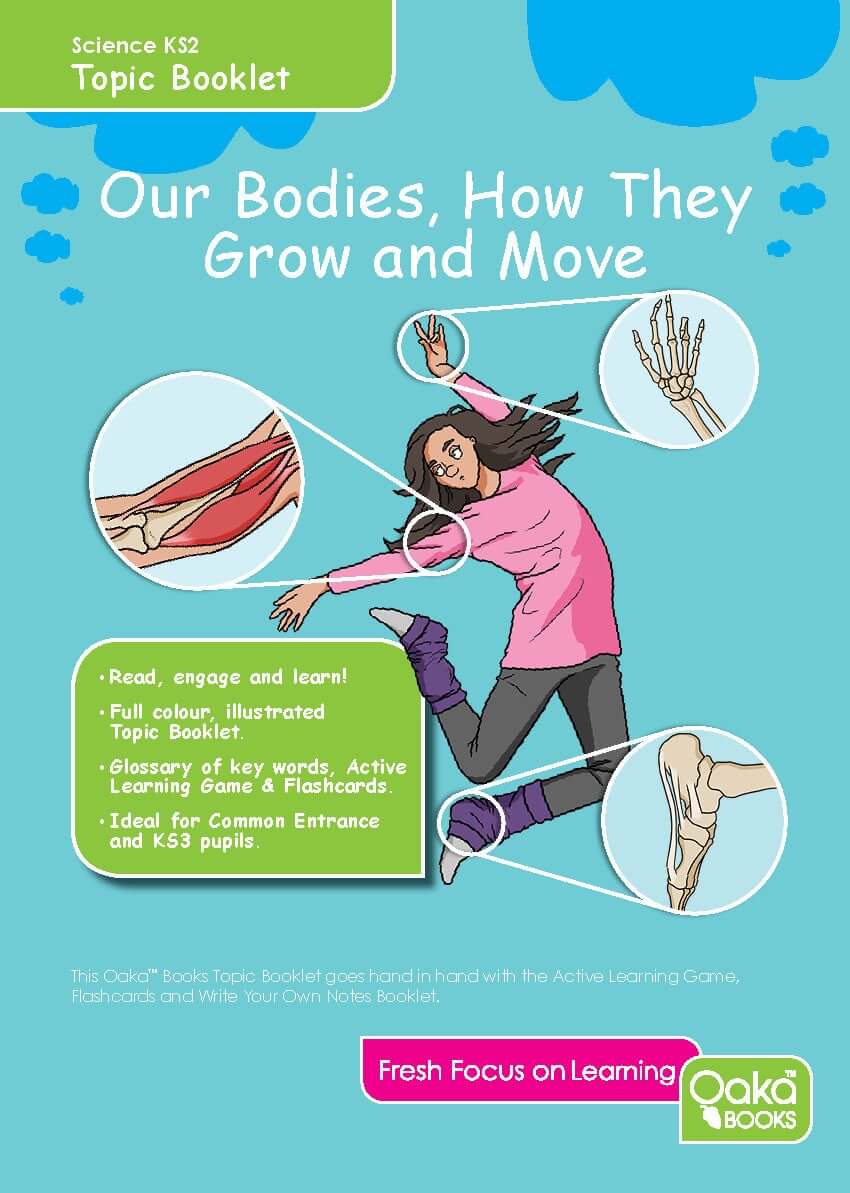 KS2 Biology: Our Bodies | Resources For Dyslexics