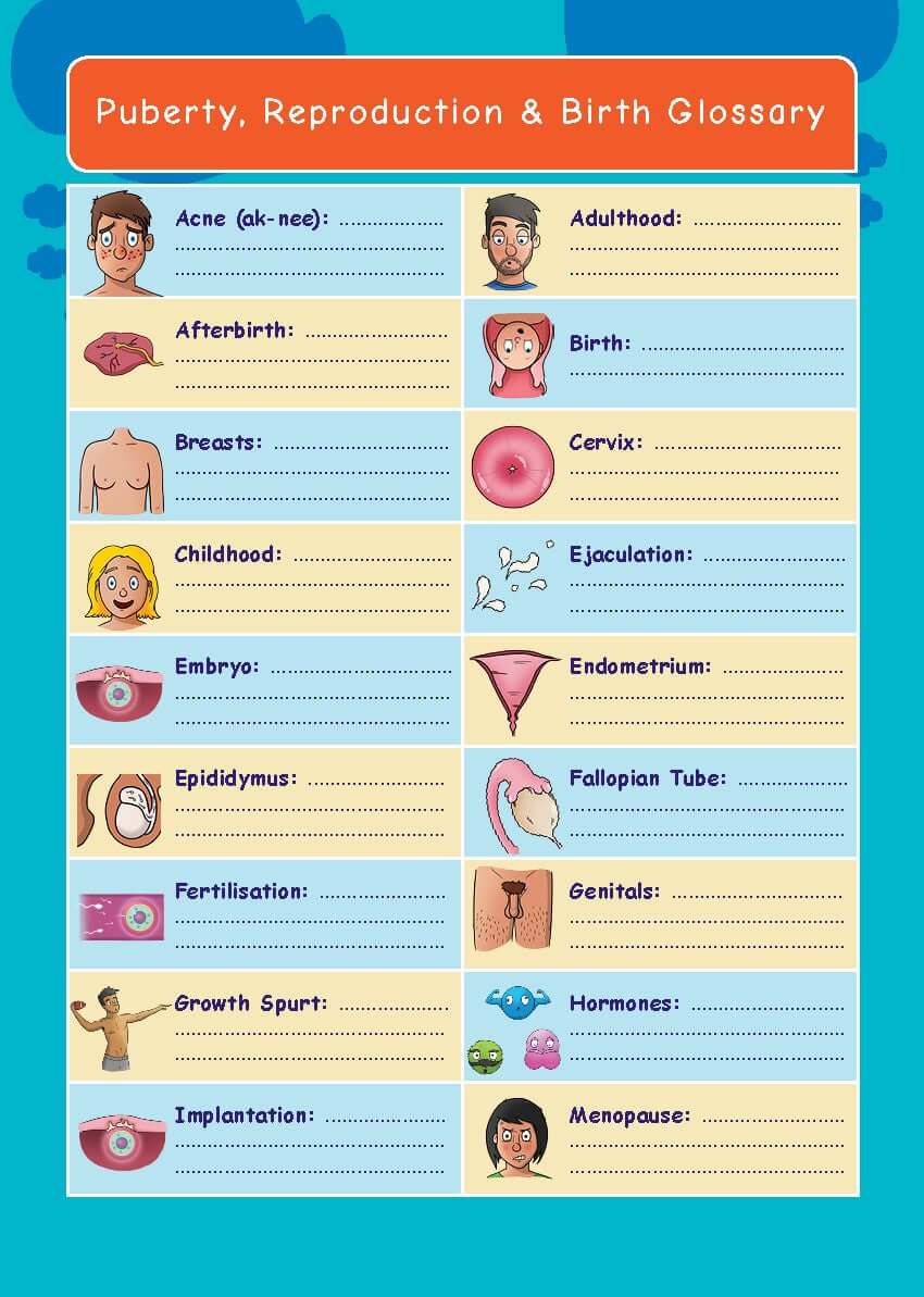 CE KS3 Biology: Puberty & Reproduction | Resources For Dyslexics