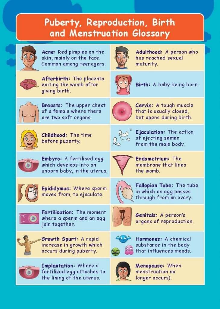 Ce Ks3 Biology Puberty Reproduction Resources For Dyslexics