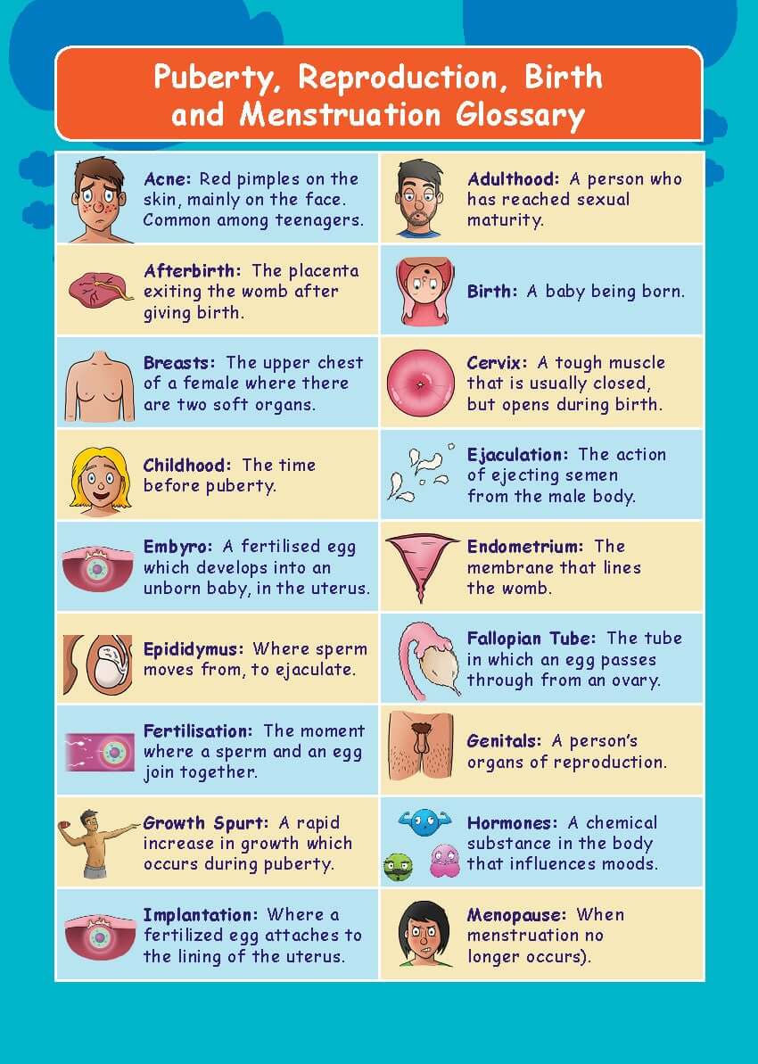 CE KS3 Biology: Puberty & Reproduction | Resources For Dyslexics