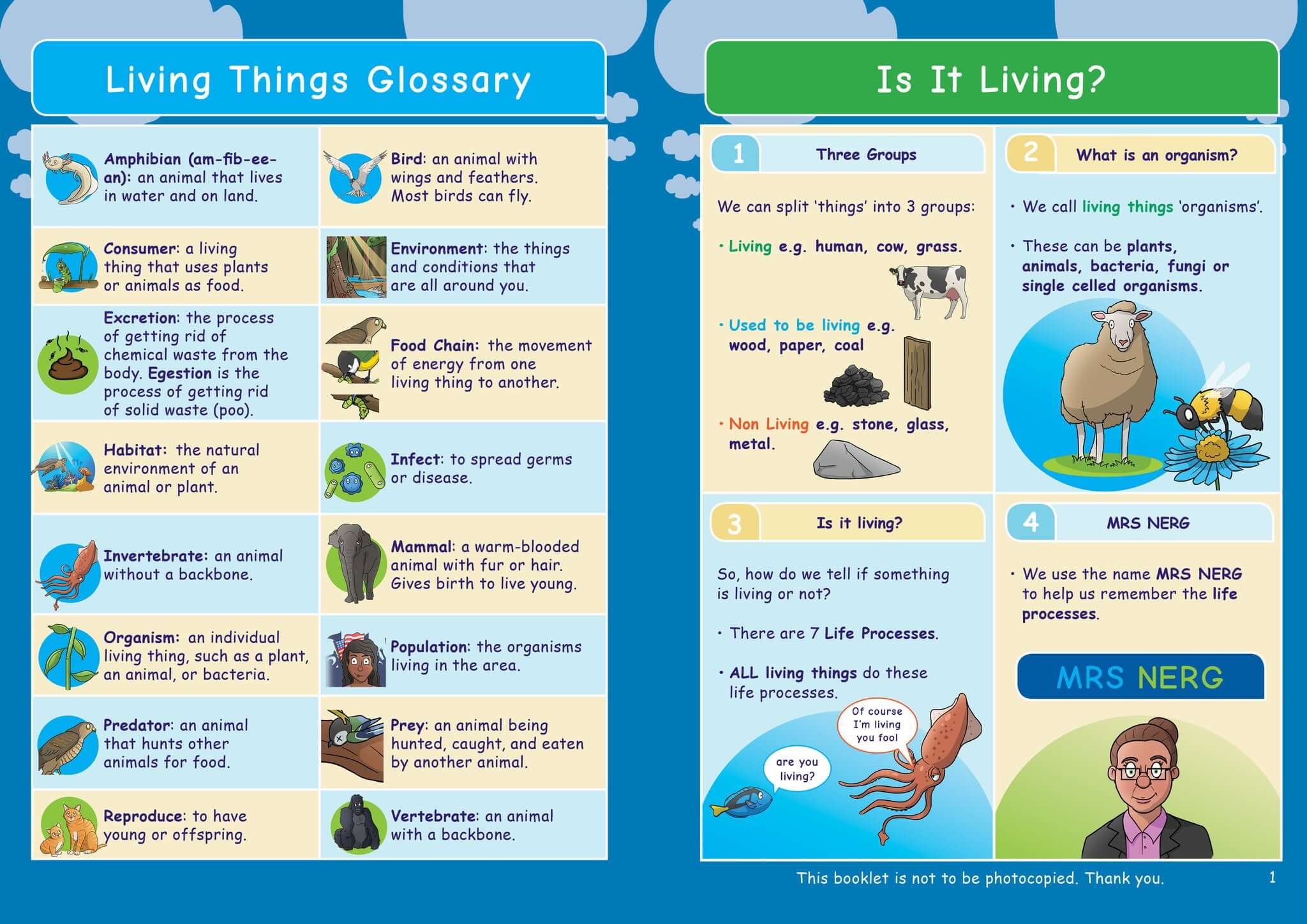 KS2 Biology: Living Things & Their Habitats | Resources For Dyslexics