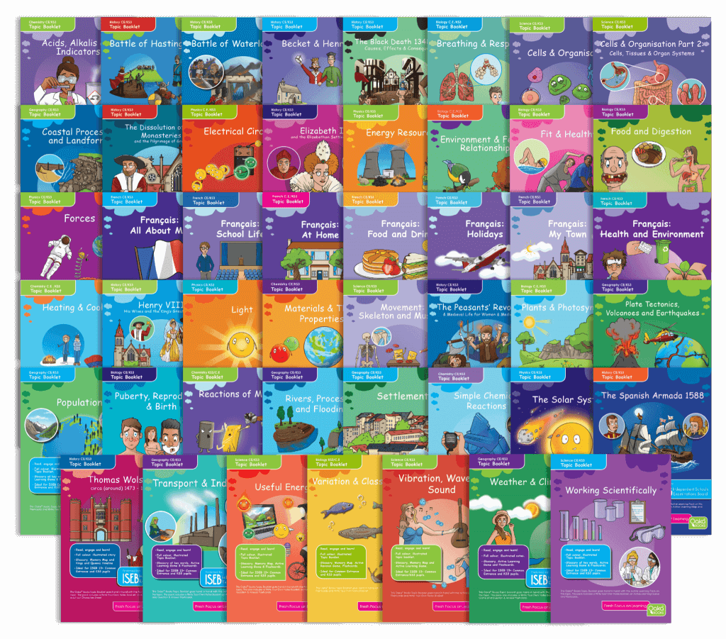 CE KS3 Revision Bundle | 47 Topic Packs | Resources For Dyslexics