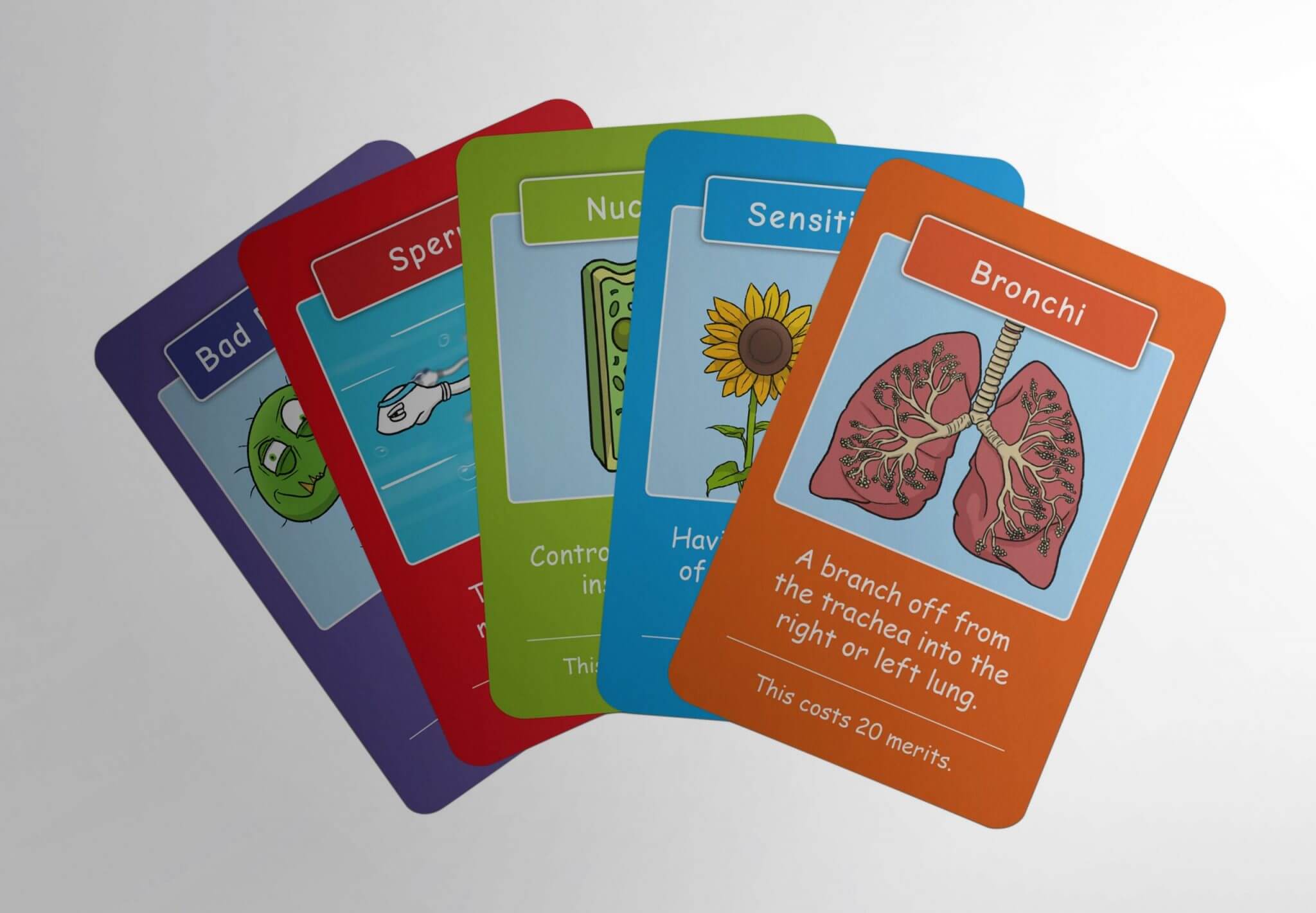 CE KS3 Science: Biology Scramble Game | Resources For Dyslexics