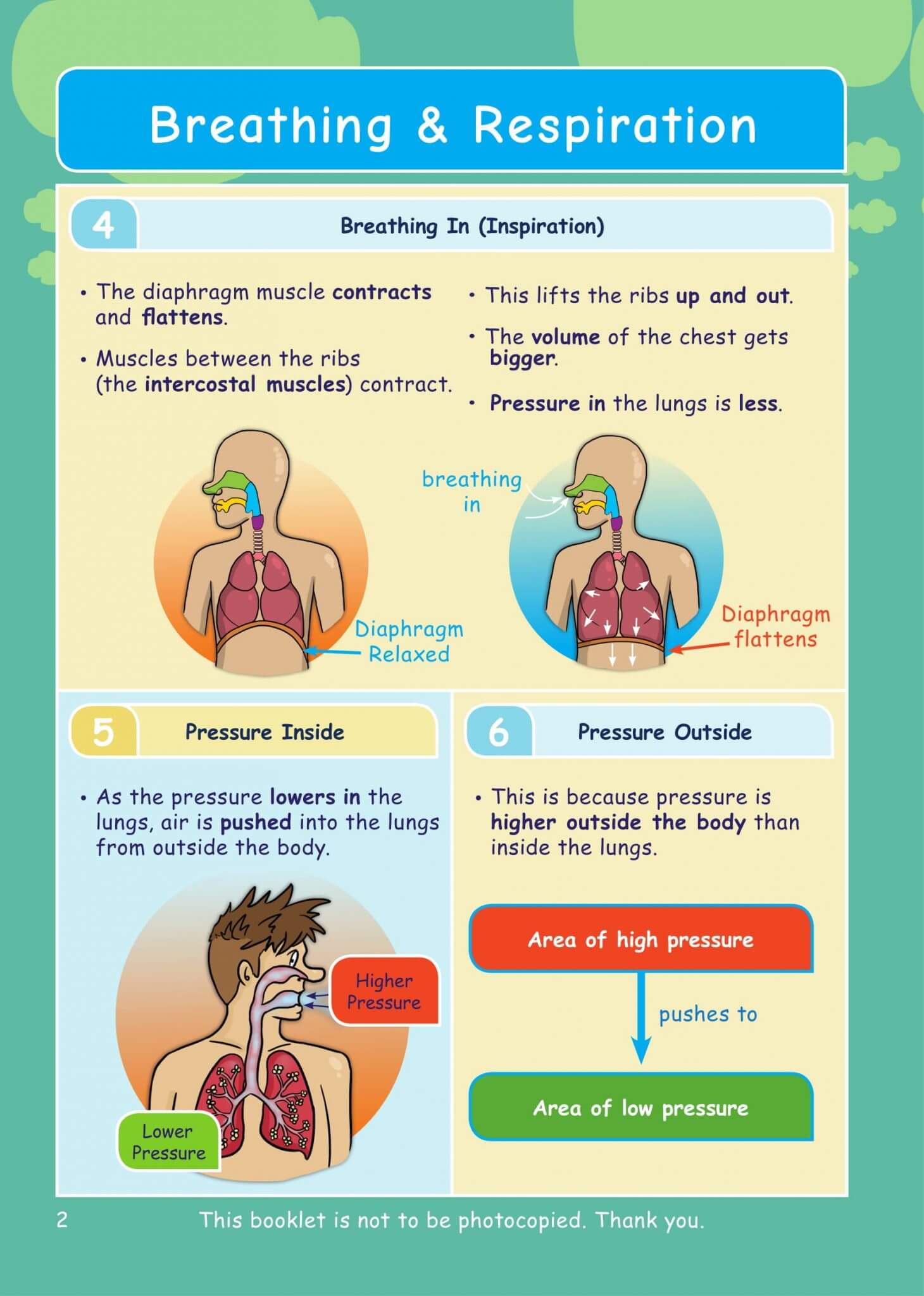 Breathing & Respiration KS3 Biology | Resources For Dyslexics