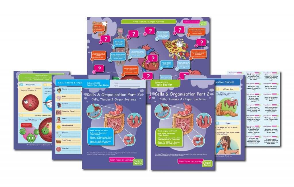 CE KS3 Biology: Cells & Organisation Part 2 | Resources For Dyslexics