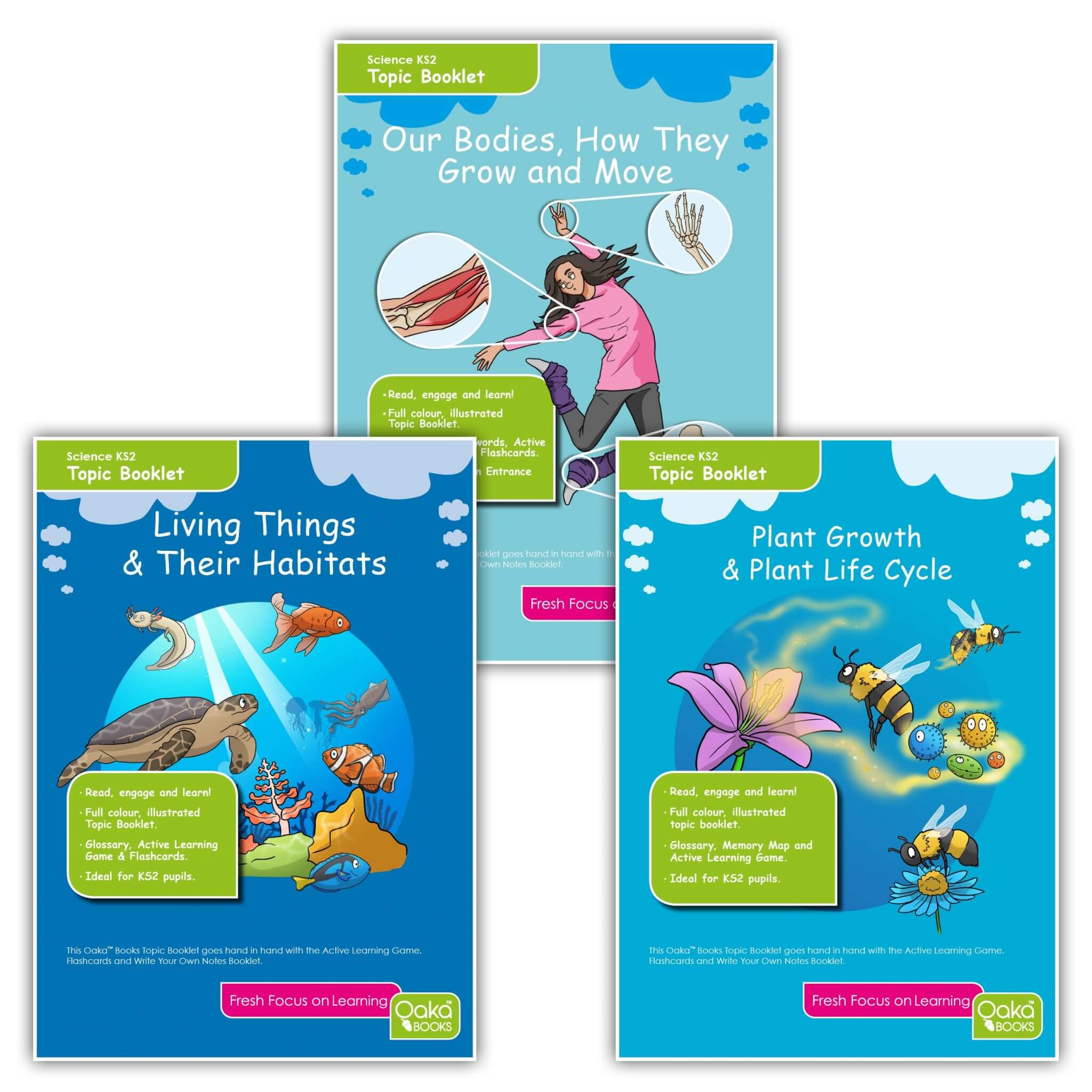 Primary KS2 Science Bundle | Resources For Dyslexics