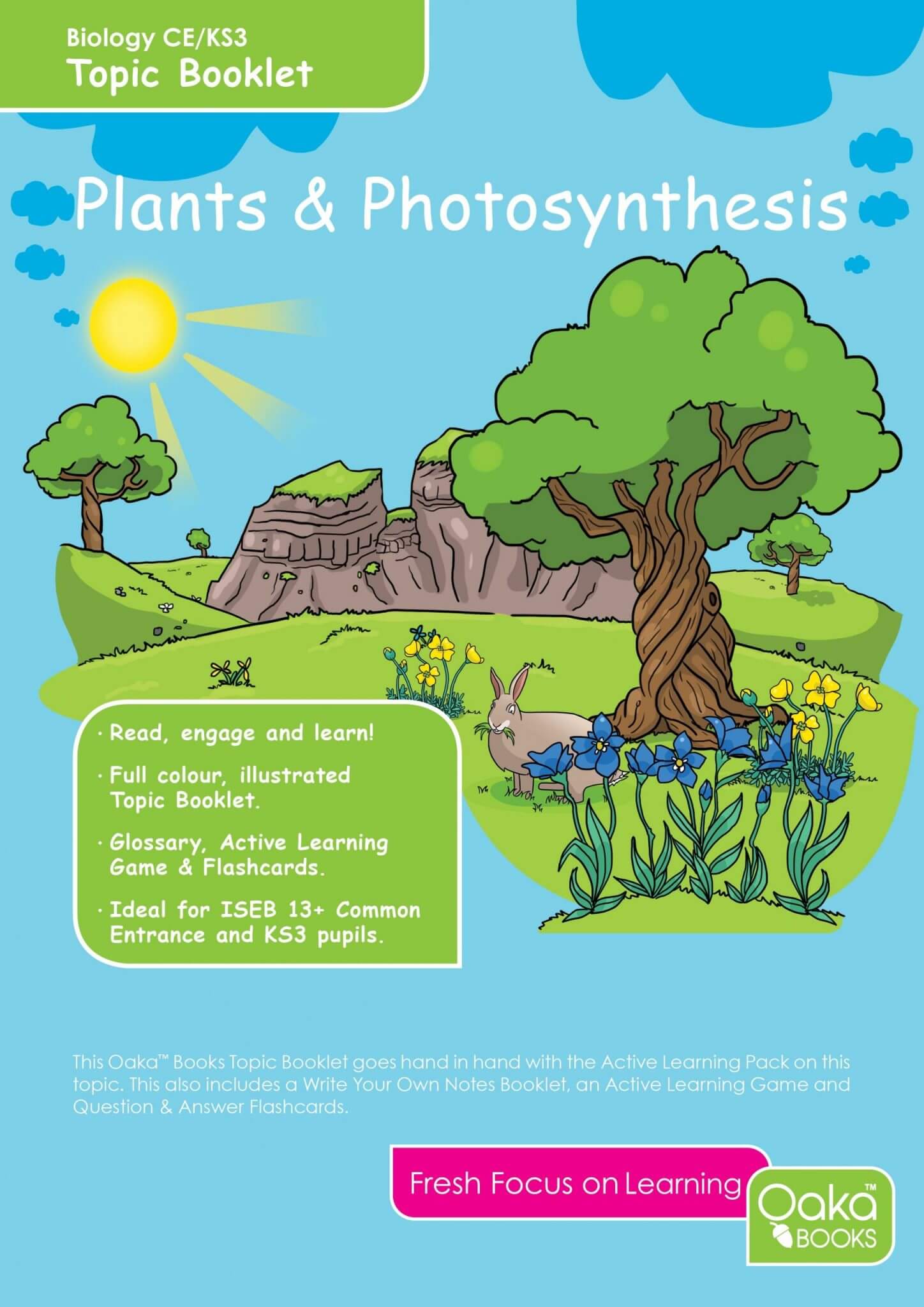 CE KS3 Biology: Plants & Photosynthesis | Resources For Dyslexics
