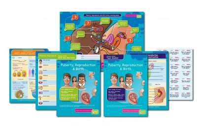 CE KS3 Biology: Puberty & Reproduction | Resources For Dyslexics