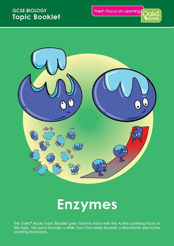 KS4/GCSE Biology | Enzymes Pack | Resources For Dyslexics