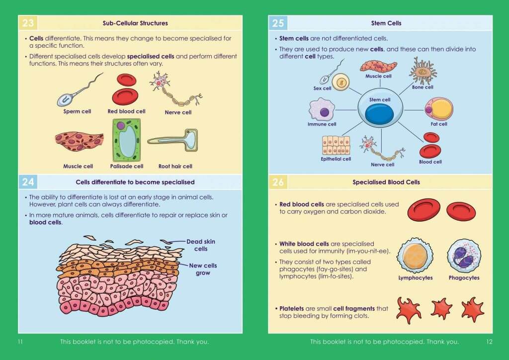 KS4/GCSE Biology | Cell Biology Pack | Resources For Dyslexics