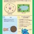 KS4/GCSE Biology | Cell Biology Pack | Resources For Dyslexics