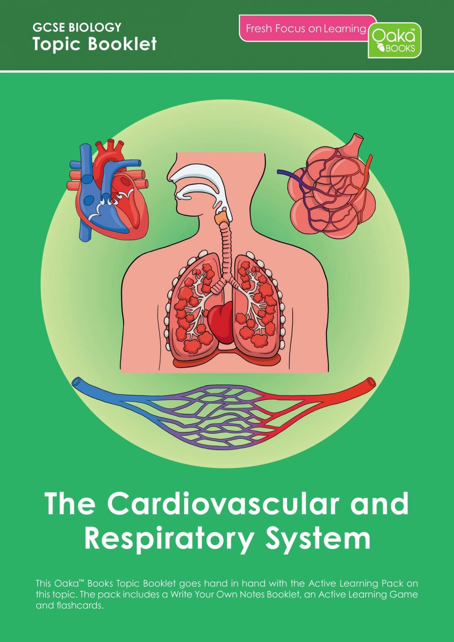 KS4/GCSE Biology | Cardiovascular and Respiratory Systems Pack ...